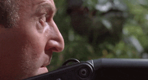 Anmeldelse: Raptor - Spilbaronen.dk